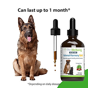 Pet Wellbeing Adrenal Harmony Gold - Veterinarian Formulated - Dog Cushing's, Adrenal Health, Cortisol Balance, Antioxidant Support - Natural Herbal Supplement for Dogs 4 fl oz (118 ml)