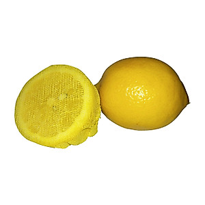 Catered Cravings Lobster Bibs Seafood Cracker Sheller Set