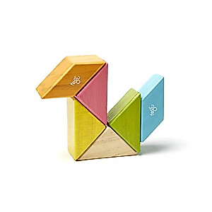 6 Piece Tegu Pocket Pouch Prism Magnetic Wooden Block Set, Tints