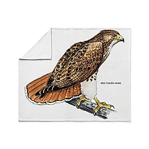 CafePress Red Tailed Hawk Bird Throw Blanket Super Soft Fleece Plush Throw Blanket, 60"x50"
