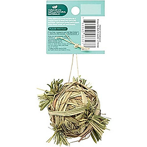 Oxbow Animal Health 3 Pack of Crazy Hay Ball Small Pet Chew Toys