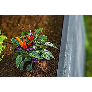 Vita Urbana 3 Foot x 5 Foot Embossed Vinyl Keyhole Garden with Composting Basket, Slate Grey, Gray, PVC, BPA and Pthalate Free, Woodgrain, VT17602