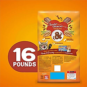 Purina Friskies Dry Cat Food, Tender & Crunchy Combo - 16 lb. Bag