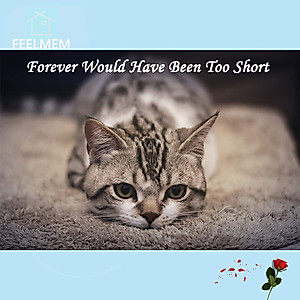 FEELMEM Cat Memorial Keychain Forever Would Have Been Too Short Paw Print Keychain Loss of Pet In Loving Memory of Cat Jewelry Gift for Cat Lover (Silver)