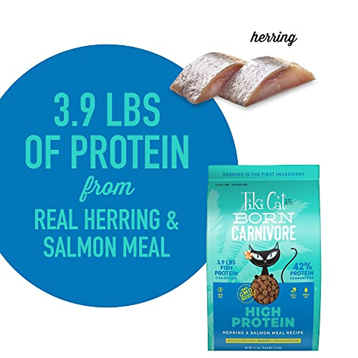 Tiki Cat Born Carnivore High Protein, Herring & Salmon Meal, Grain-Free Baked Kibble to Maximize Nutrients, Dry Cat Food, 5.6 lbs. Bag