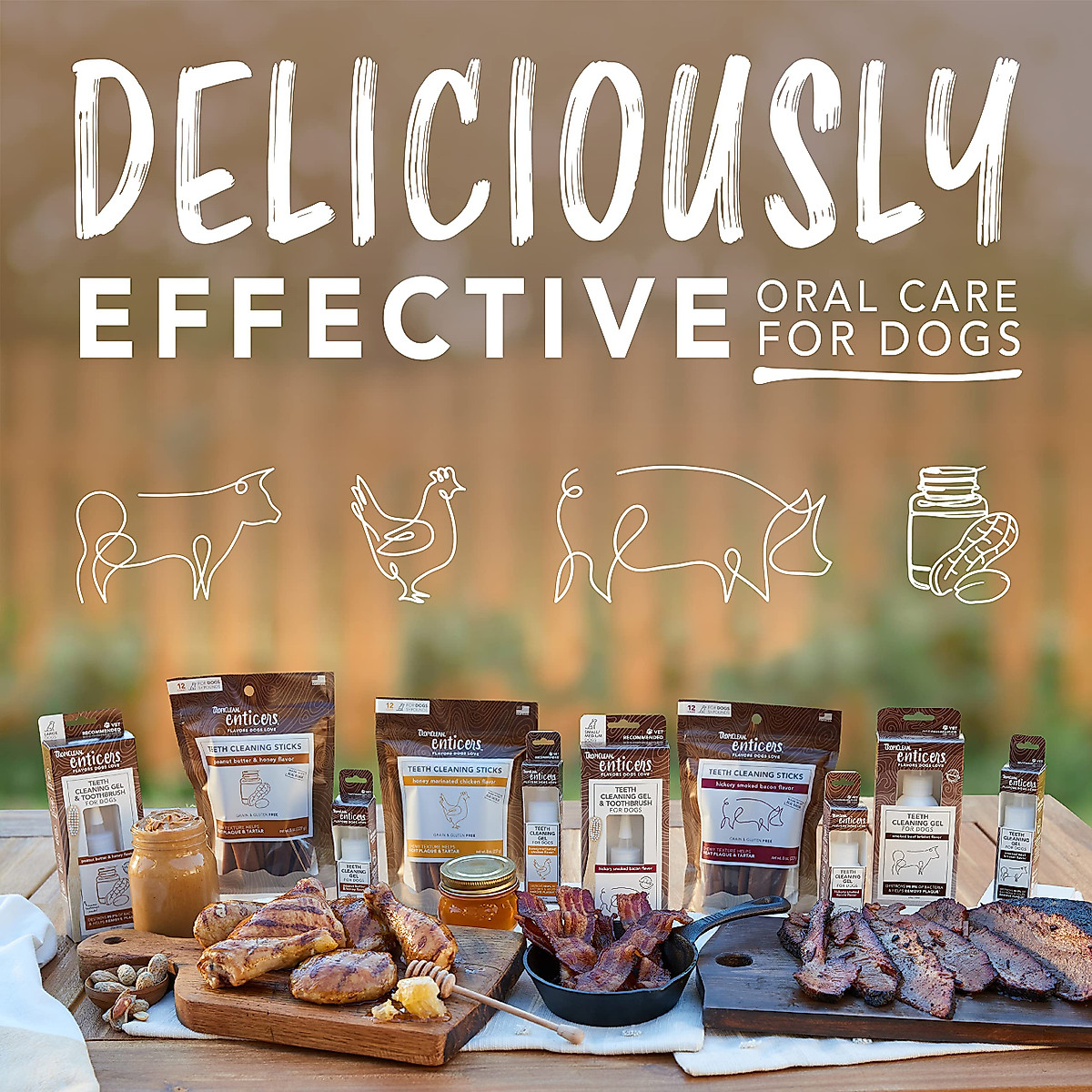 TropiClean Enticers Dog Teeth Cleaning Treat Gel | Beef Brisket Flavored Dog Toothpaste Alternative | 2 oz.