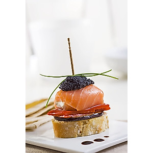 Makerstep 1000 Wooden Toothpicks Ornate Handle in Toothpicks Holder Container 2 Packs of 500, Good for Party, Cleaning Teeth, Appetizer.