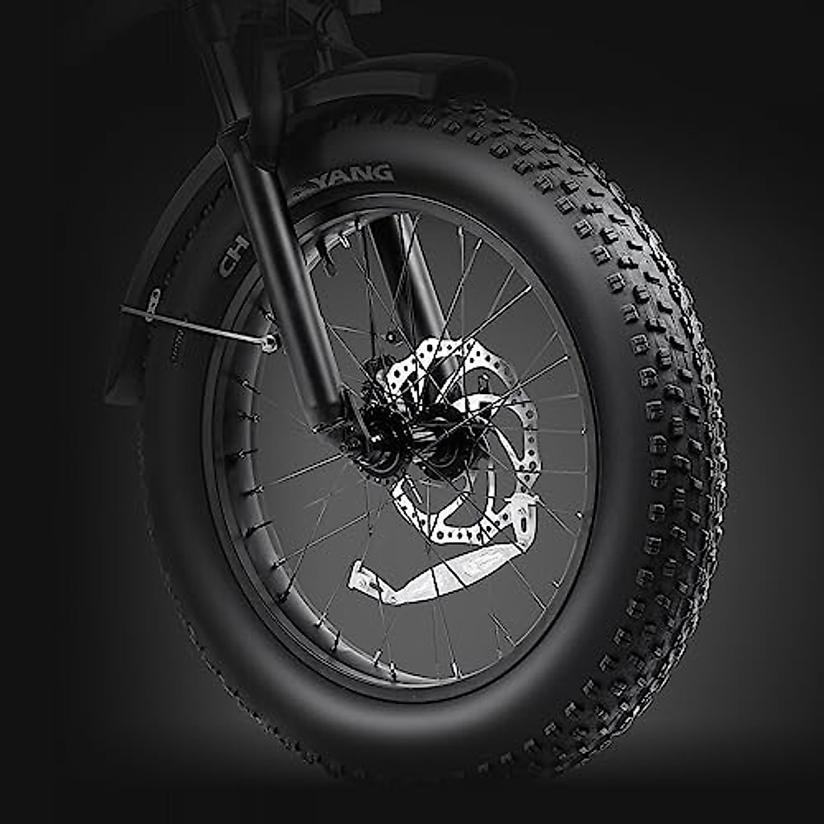 Hipeak Bona Electric Bike for Adults, Ebike 750W/48V/15Ah, 20" x 4.0" Fat Tire Electric Bike Folding with Removable Battery, Step-Over Folding Adult Electric Bicycles Front Shock Absorber