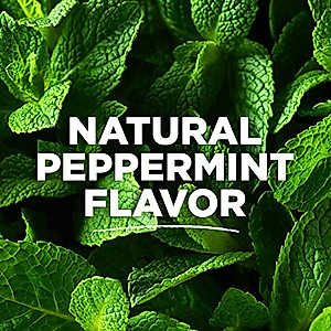 Tom's of Maine Natural Fluoride-Free SLS-Free Botanically Bright Toothpaste, Peppermint, 4.7 oz. (Packaging May Vary)