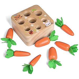 FUN LITTLE TOYS Educational Wooden Toys for Toddlers, Carrots Harvest Shape Size Sorting Game, Developmental Toys for 1 2 3 Year Old Boys and Girls Preschool Learning Gifts