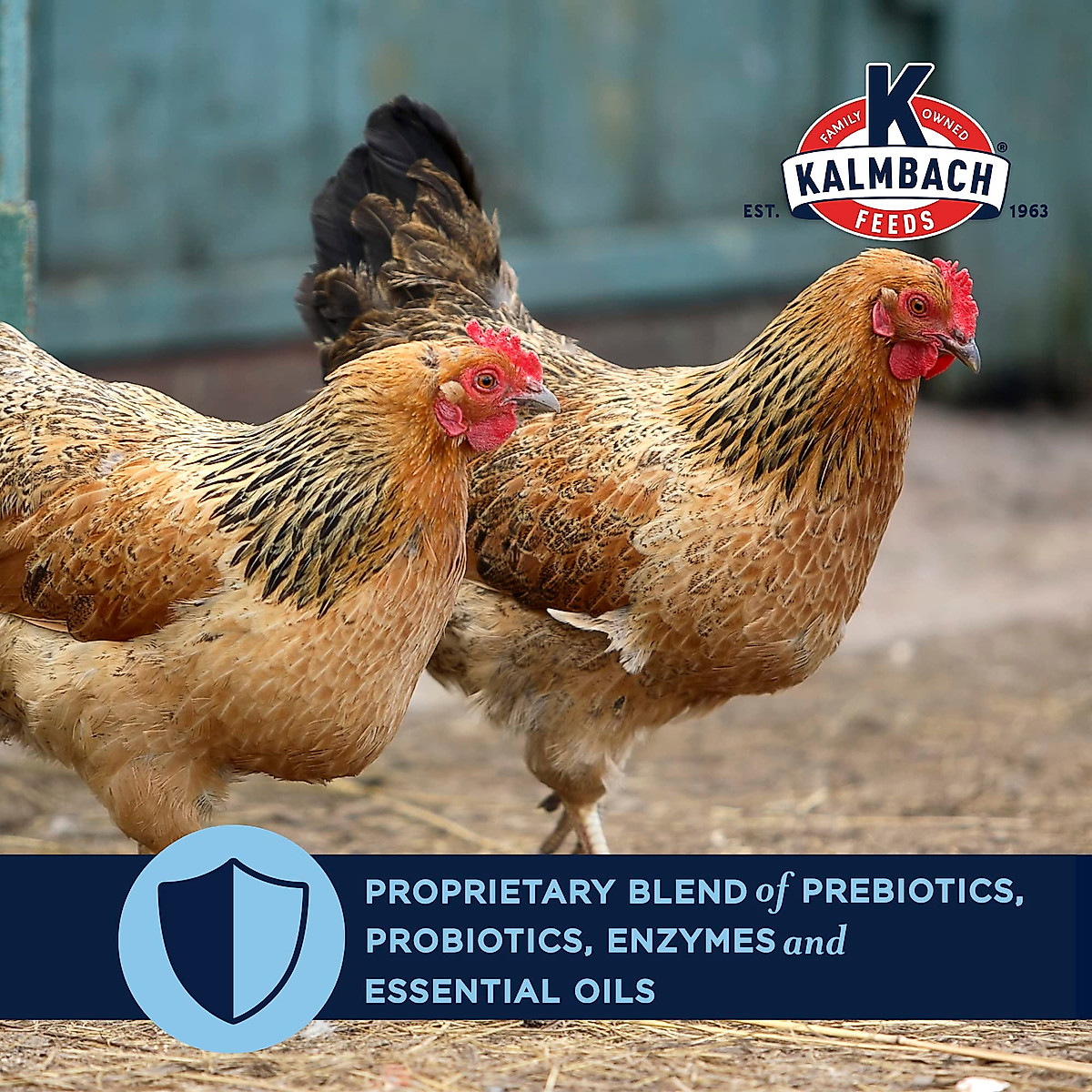 Kalmbach Feeds 1 Piece Layer Crumbles, 50 Lb