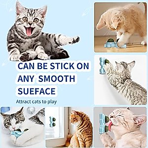 Catnip Balls for Cats Wall Catnip Ball Toy, 2 Pack Edible Cat Nip Ball Double Ball for Cats Chew Toy, Rotatable Interactive Cat Kitten Toys of Indoor Cats for Teeth Cleaning & Soothe the Mood (Blue)