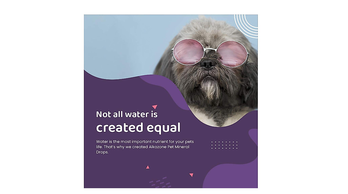 Boost Your Pet's Health with Alkazone Alkaline Drops