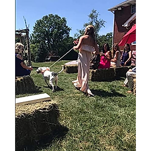 Cdycam 120cm 4ft Custom Pearls Beaded Pet Dog Cat Training Walking Leash with Elegant White Peal Dog Collar