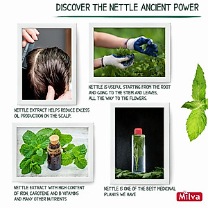 Nettle Shampoo - Helps Regulate Sebum Production, Reduce Dandruff & Ease Scalp Irritation - For Strong, Healthy Hair- 200ml