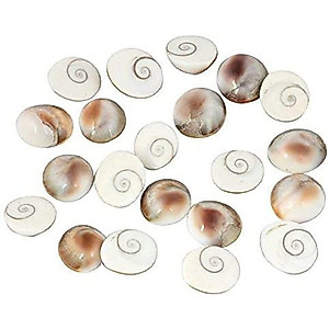 SAI MART Natural Gomti 11piece River Stone Gomati Chakra for Lakshmi/Laxmi Puja Pooja Peace,Prosperity,Energized and Wealt,Success