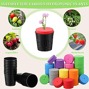 Layhit 120 Sets Clone Collars Neoprene Cloning Collar Inserts 8 Colors 2 Inch Net Pots for Hydroponics Net Cup Pots Hydroponic pots Seed Germination kit for Net Pots Hydroponics Aeroponics