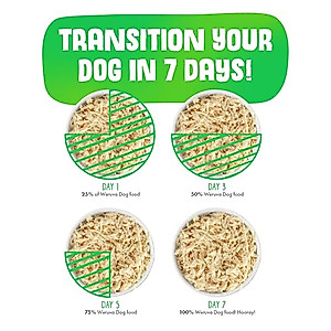 Weruva Classic Dog Food, Jammin' Salmon with Chicken & Salmon in Gravy, 14oz Can (Pack of 12), Red (Jammin’ Salmon)