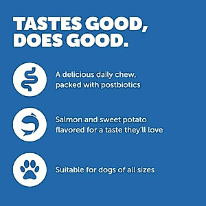 Protexin Daily Care Gut+ Skin & Coat, 60 postbiotic Dog Supplement Chews – Salmon and Sweet Potato Flavored