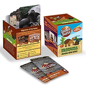Galapagos Memory Game Land Animals Edition