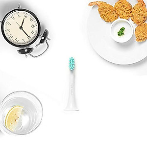 Xiaomi 16860.0 – Electric Toothbrush Head, Pack of 3, White
