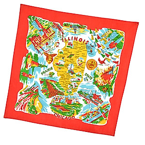 Illinois State Souvenir Dish Towel