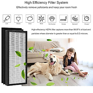 VEVA 8000 Replacement Filter, Compatible with VEVA 8000 Elite Pro Series Air Purifier, 2 HEPA Filters + 4 Pre-Filters