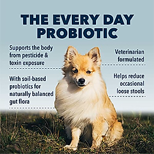 Four Leaf Rover Protect - Soil-Based Probiotics for Dogs with Food-Based Prebiotics for Gut Health and Immune Support - 12 to 60 Day Supply, Depending on Dog’s Weight - Vet Formulated