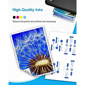 Aroil 245XL 246XL Combo Pack Replacement Printer Ink for Canon Ink Cartridges 245 and 246 for Canon Pixma TR4500 TS3322 TS3122 TR4522 TR4500 MG2522 MX490 MX492 TS3300 TS3320 TS3100 MG2500 (2 Pack)