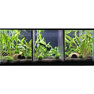 Lifewithpets 20 Gallon Long Aquarium Tank Divider. Check Compatible Tank Below.