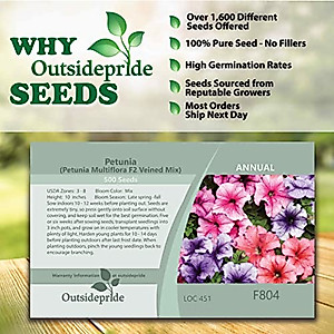 Outsidepride Petunia Multiflora Veined Indoor House Plants Or Outdoor Container, Basket, or Pot Flowers - 500 Seeds