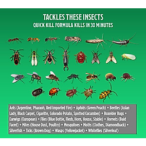 Grandpa Gus's Advanced Natural Pest Control Spray with Clove & Cottonseed Oil - Indoor & Outdoor Insect Killer for Spiders, Ants, Roaches, Earwigs, Bed Bugs & More, Pet-Friendly, 16 fl oz
