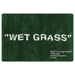 ZTFGZSXG Keep Off Wet Grass Area Rugs Green 3D Printed Modern Large Carpet Non-Slip Floor Mat Rugs for Bedroom Livingroom Home Decor Mat 16"" x 24""