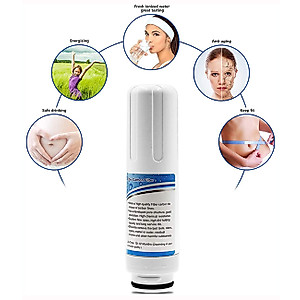 Replacement Internal Active Carbon Water Filter for pH3.5~10.5 Alkaline Water Ionizer AG7.0 Only