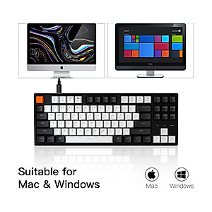 Keychron C1 Hot-swappable Wired Mechanical Keyboard with Gateron G Pro Blue Switch/Double-Shot ABS Keycaps/White Backlight/USB Type-C Cable, Tenkeyless 87 Keys Computer Keyboard for Mac Windows PC
