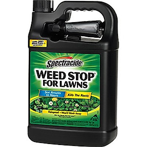 Spectracide Weed Stop for Lawns Dicamba Rtu 1 Gal