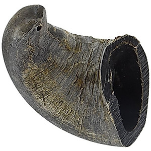 QT Dog - Buffalo Horn Small