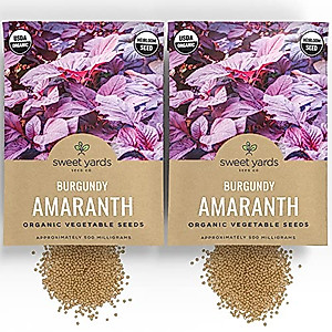 Organic Red Amaranth Seeds 'Burgundy' – Two Seed Packets! – Over 1,000 Open Pollinated Non-GMO USDA Organic Seeds