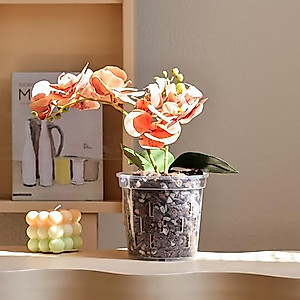 TRUEDAYS 4 Pack Orchid Pot 5 Inch Clear Plastic Plant Pots with Drainage Holes for Indoor Outdoor Plants