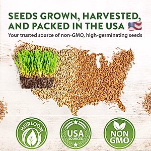 HOME GROWN 1 Pound Cat Grass Seeds for Indoor Cats & Pets - Ready to Eat in 7 Days - Quick & Easy to Grow | Cat Grass for Digestion & Hairballs | 100% Non-GMO Heirloom Oat Barley Seeds