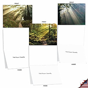 The Best Card Company - 10 Assorted Sympathy Cards Boxed (4 x 5.12 Inch) - Condolence, Bereavement Greetings - Shining Through AM1735SMG-B1x10
