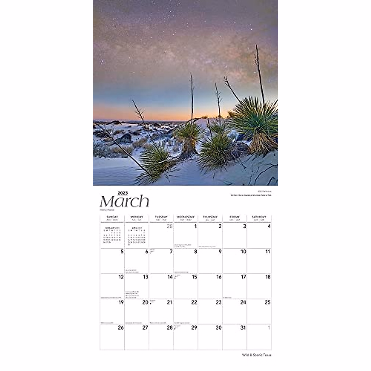 Texas Wild & Scenic | 2023 12 x 24 Inch Monthly Square Wall Calendar | Foil Stamped Cover | BrownTrout | USA United States of America Southwest State Nature