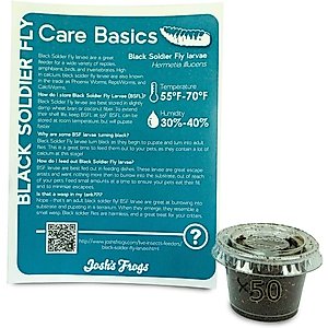 Josh's Frogs Black Soldier Fly Larvae (50 Count - Extra Small)