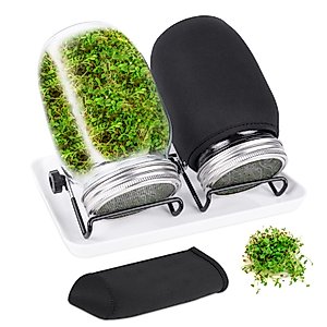 Seed Sprouting Jar Kit with 2 Wide Mouth Mason Jars Bean Sprouts Growing Kit Microgreens Growing Jar with Mesh Screen Lids Sprouter Sprouts Maker for Growing Broccoli, Alfalfa, Mung Bean