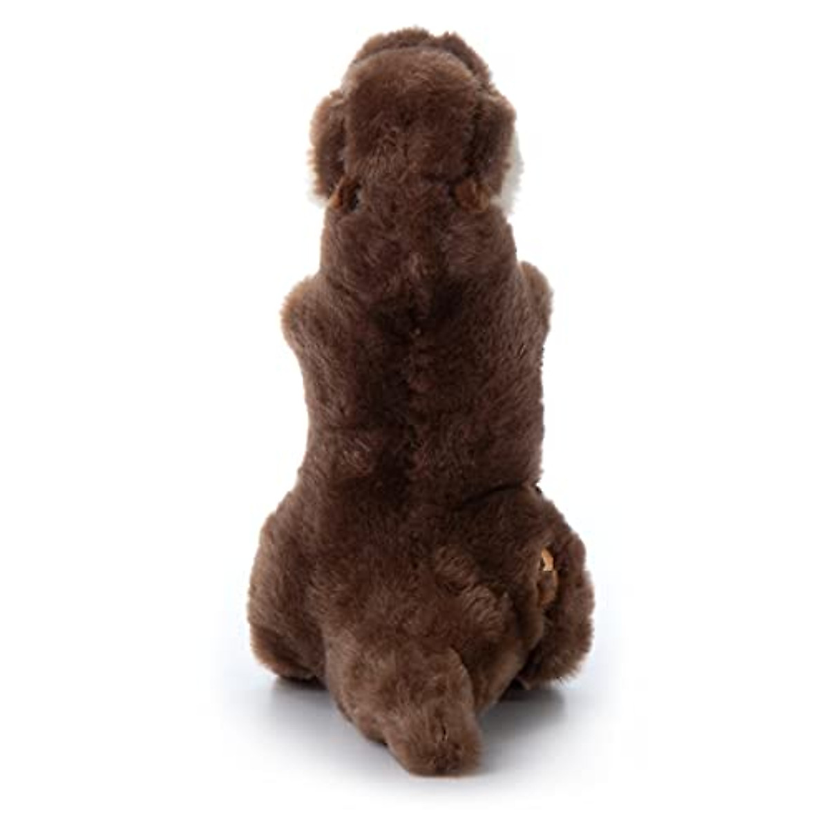 The Petting Zoo River Otter Stuffed Animal Standing, Gifts for Kids, Wild Onez Zoo Animals, River Otter Plush Toy 10 inches