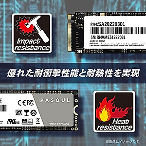 PASOUL SSD 256GB SATA M.2 2280 6GB/s Compliant 3D TLC Max Read 530MB/s Write 450MB PAM2280M2-256