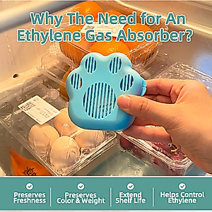 WiseFresh 30 Packs 5 Gram Ethylene Gas Absorber Packet, Vegetable & Fruit Fresh Produce Protector, Food Freshness Extender, Fresh Fruit Preserver, Vegetable Saver