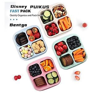 TurtingAs Snack Containers, 4 Pack Reusable Bento Snack Box, 4 Compartments Meal Prep Lunch Containers for Kids Adults, Divided Food Storage Containers for School Work Travel