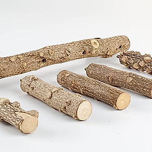 CheeFun Bird Perch: Nature Wood Parrot Stand for Small Animal - Pet Bird Cage Ladder Chew Toys