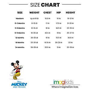 Disney Mickey Mouse Infant Baby Boys or Girls 3 Piece Outfit Set: Pants Hoodie Bodysuit Grey/White 18 Months